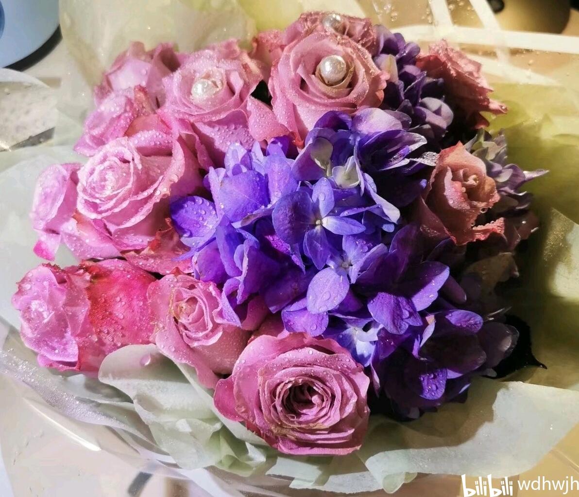 深度解析焦虑型依恋和回避型依恋间的相爱相杀，恐惧型依恋的恋爱模式和情感逻辑 - 哔哩哔哩