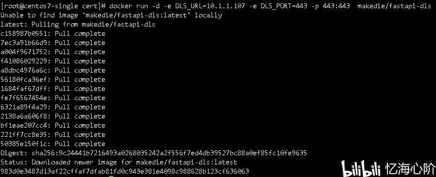来自民间的NVIDIA VGPU授权fastapi-dls - 哔哩哔哩