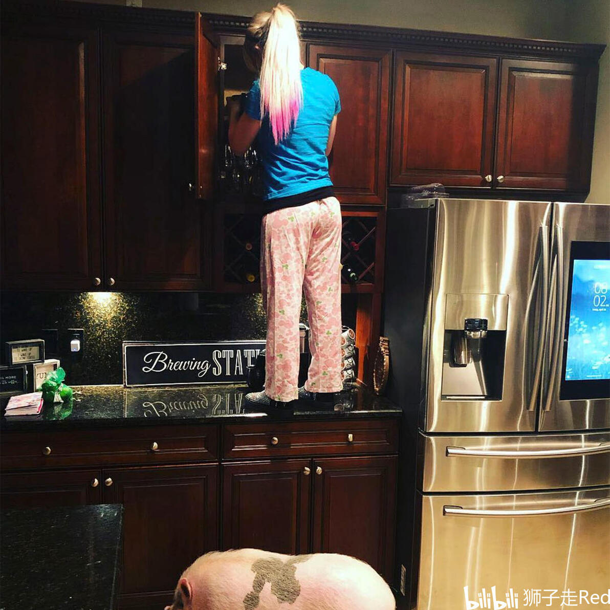 WWE小魔女Alexa Bliss阿莱萨布里斯人物介绍及精选照片集 - 哔哩哔哩