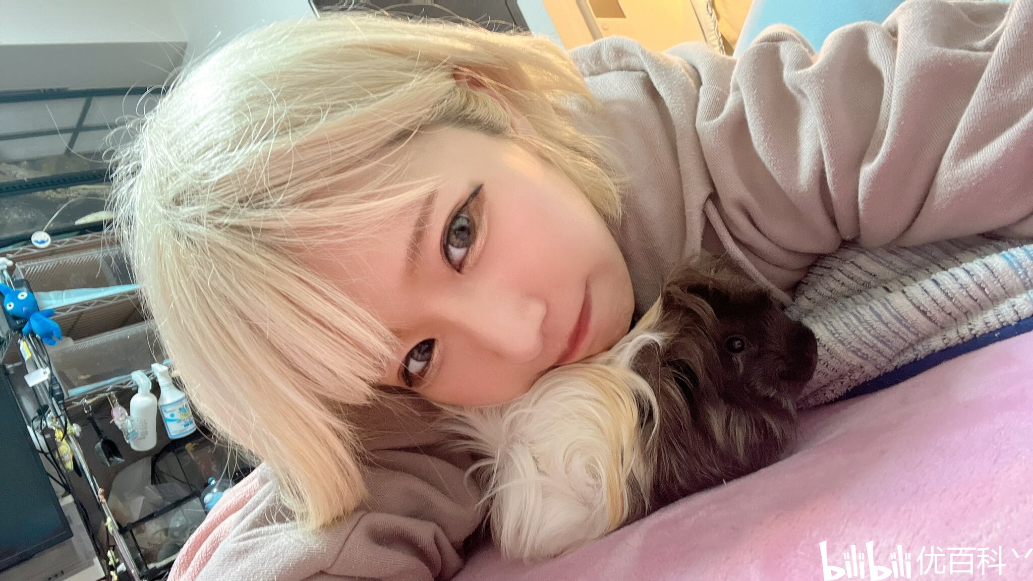 乙爱丽丝 乙アリス Otsu Alice [优百科#29] - 哔哩哔哩