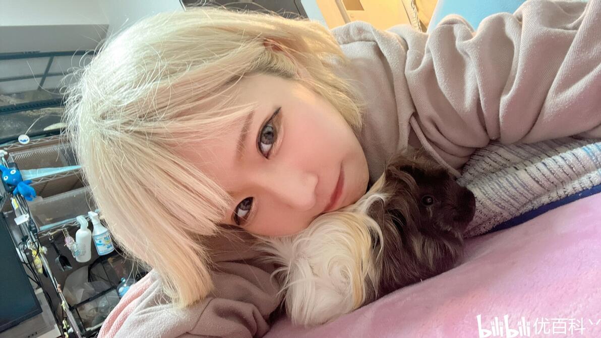 乙爱丽丝 乙アリス Otsu Alice [优百科#29] - 哔哩哔哩