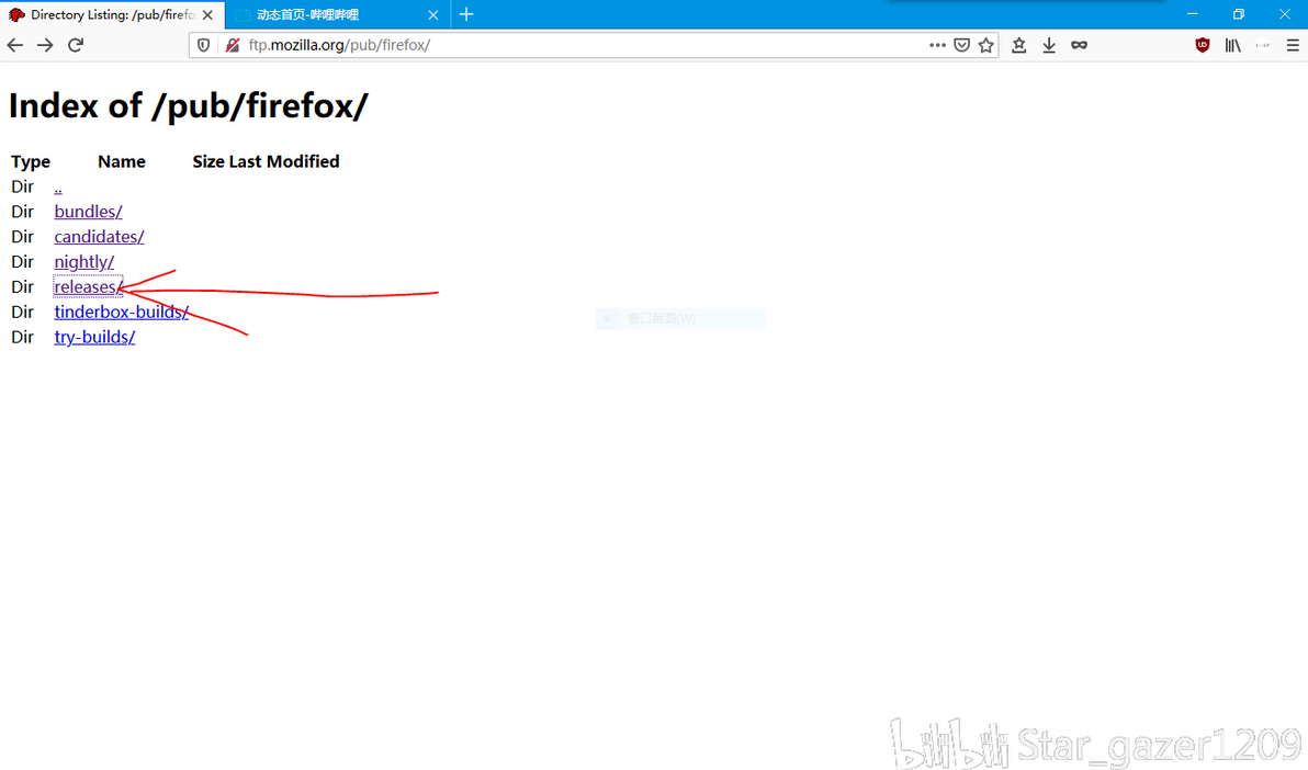 使用Mozilla FTP服务下载火狐(Firefox)浏览器 - 哔哩哔哩
