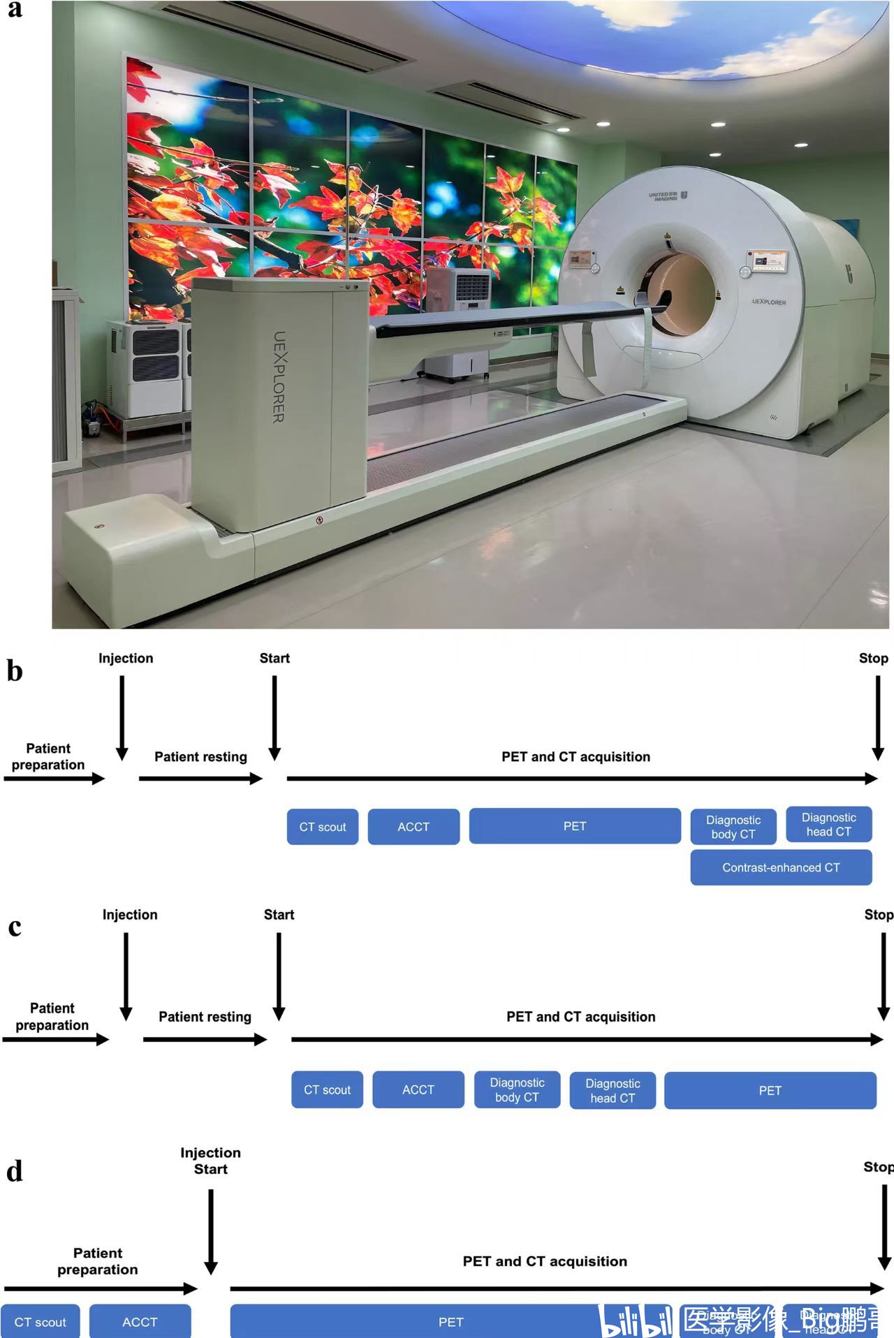 全球首个Tota-body PET-CT肿瘤显像规范发布！国内11家顶级医院达成专家共识！ - 哔哩哔哩