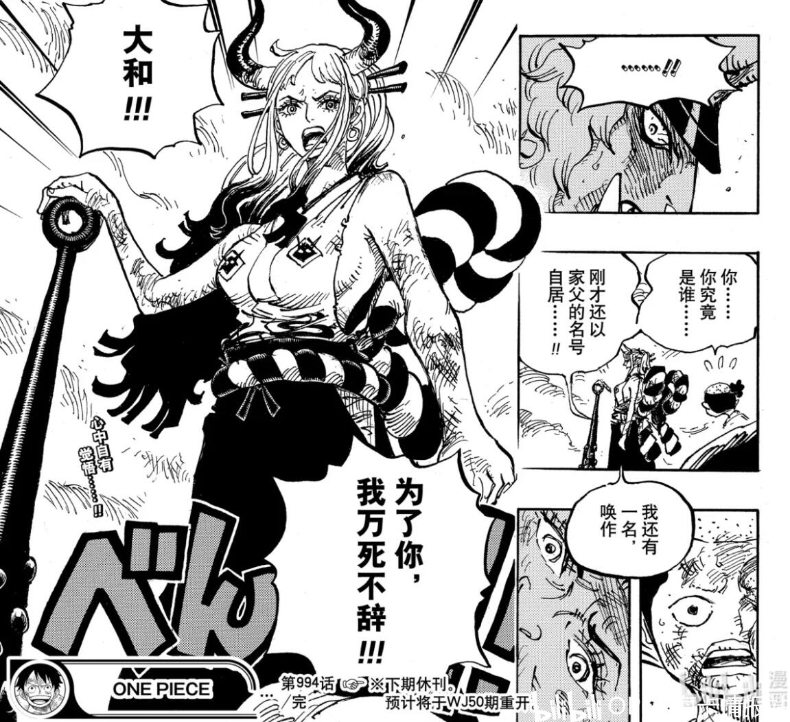 【OPCG情报】大和书卡咚 - 哔哩哔哩