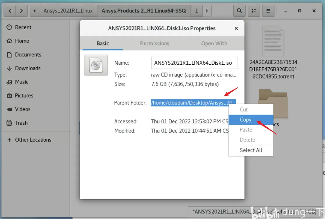 Linux (CentOS 7) 下安装Ansys 2021 R1 教程 - 哔哩哔哩