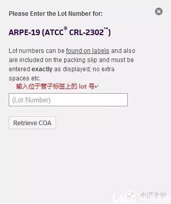 ATCC产品说明书及COA下载方法 - 哔哩哔哩