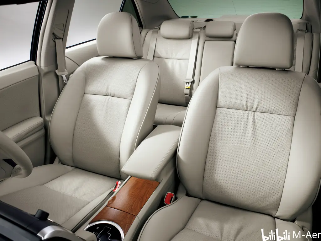 这是啥车系列3——丰田Premio T260/265 - 哔哩哔哩