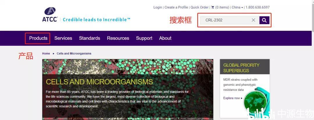 ATCC产品说明书及COA下载方法 - 哔哩哔哩