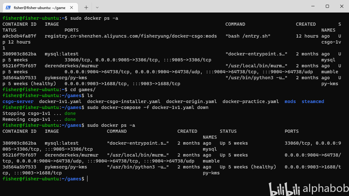 Docker搭建CSGO游戏服务器 - 哔哩哔哩