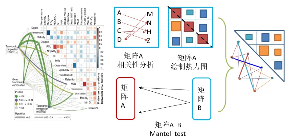【R 语言可视化】Mantel_test 的实现与绘图 - 哔哩哔哩