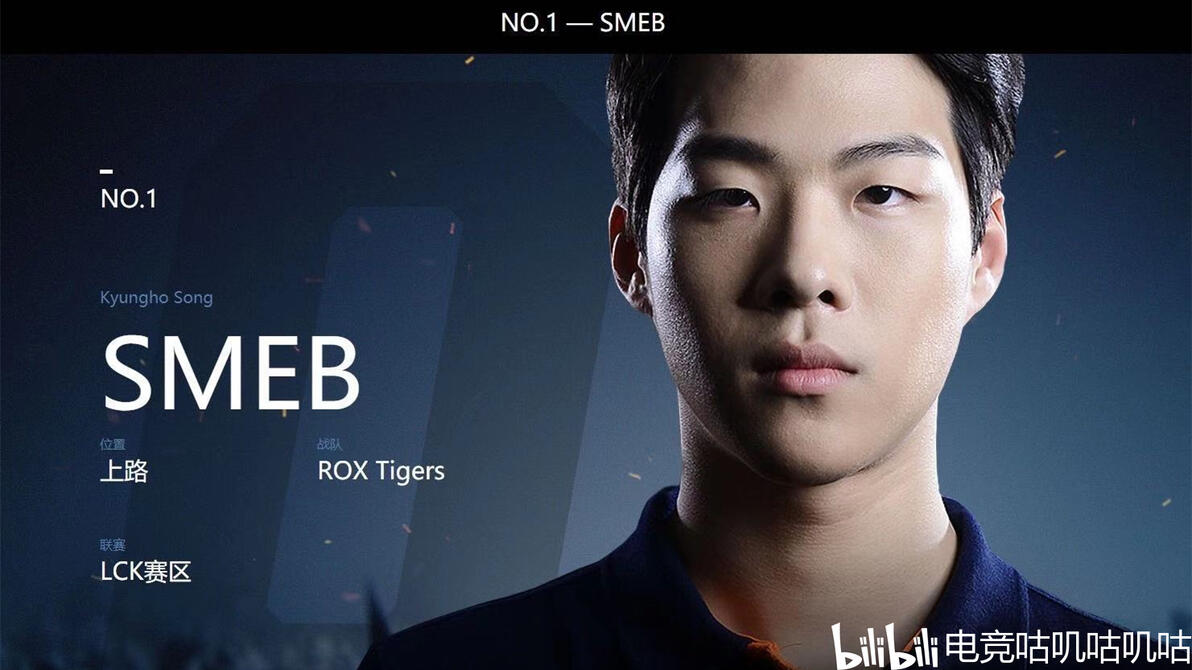 Smeb宣布退役，昔日ROX五人组中，仅剩小花生一人还在赛场 - 哔哩哔哩