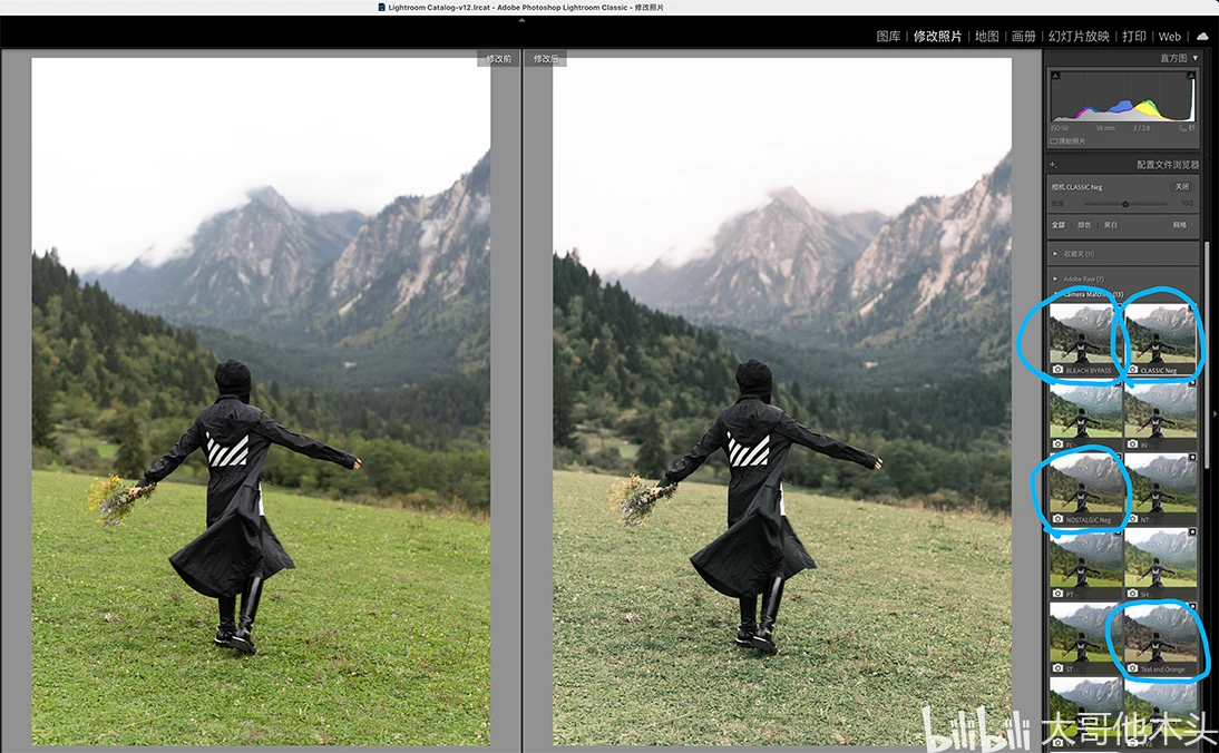 索尼、佳能、尼康模拟富士胶片滤镜（CC、NC、NN等19种全部滤镜） - 哔哩哔哩