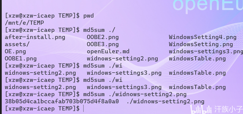 OpenEuler-WSL简单使用 - 哔哩哔哩