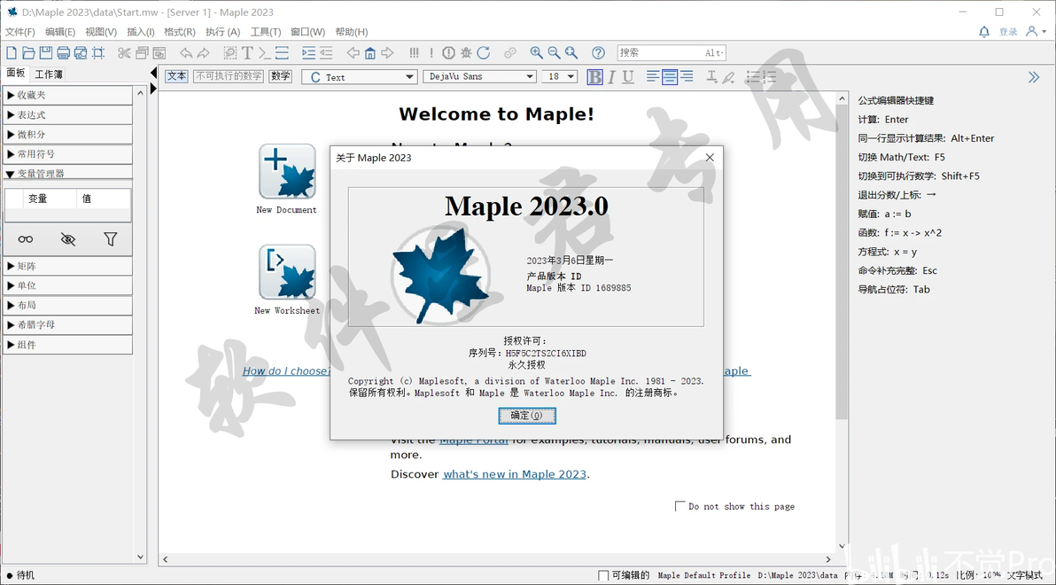 Maple 2023中文版下载及安装教程 - 哔哩哔哩
