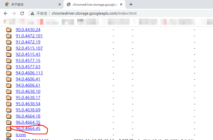 Selenium使用webdriver打开谷歌浏览器出现闪退的解决方法 哔哩哔哩