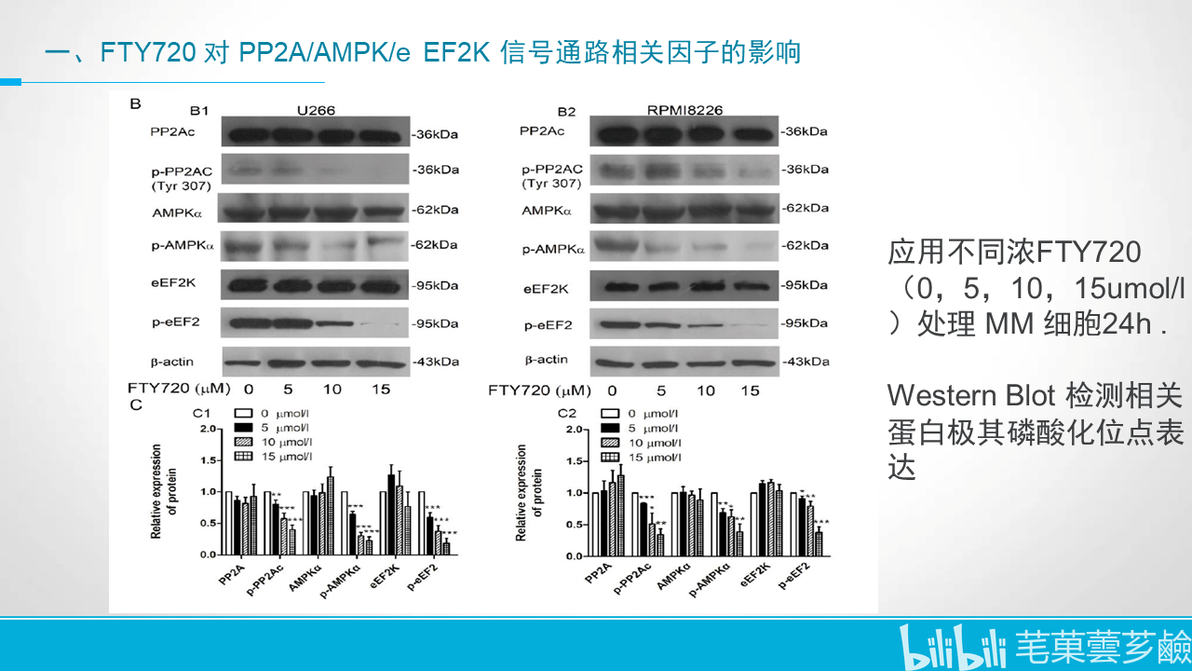 FTY720通过PP2A/AMPK信号通路诱导多发性骨髓瘤细胞发生铁死亡和自噬的机制研究 - 哔哩哔哩