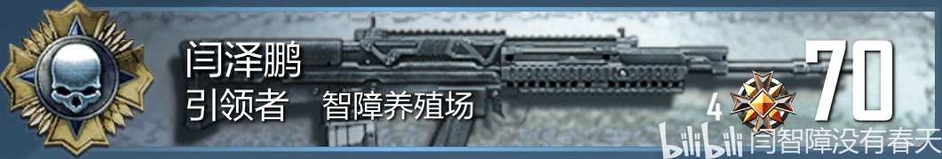 你那点干货也配自称“老玩家”？—CODOL全武器、精通名片展示分析（轻机枪） - 哔哩哔哩