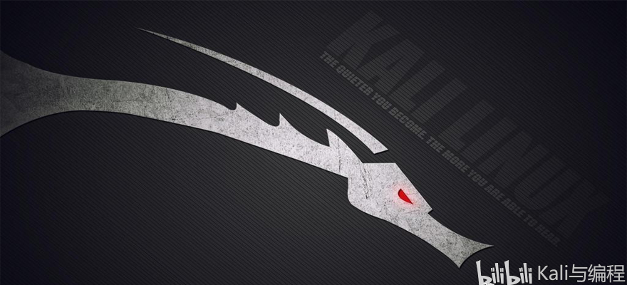 Kali Linux渗透工具（十）Java自动化SQL注入工具jSQL Injection使用技巧 - 哔哩哔哩