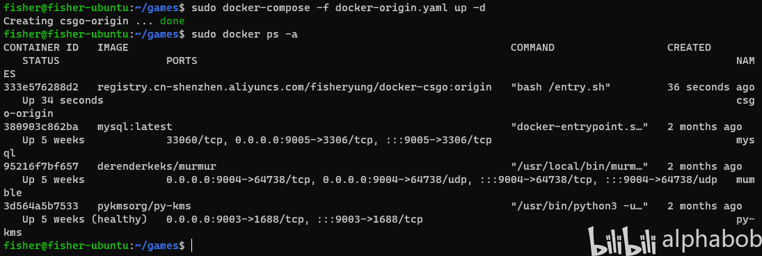 Docker搭建CSGO游戏服务器 - 哔哩哔哩