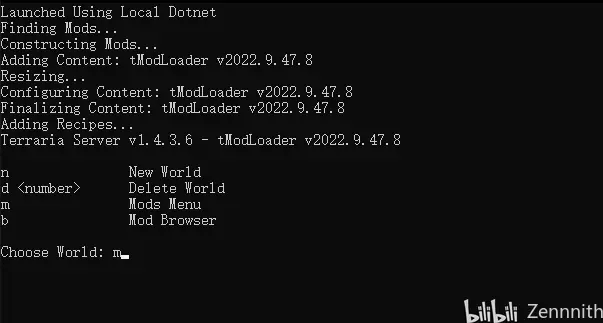 [干货]Tmod开服教程『进阶篇』泰拉瑞亚 tModloader 1.4.3.6 - 哔哩哔哩