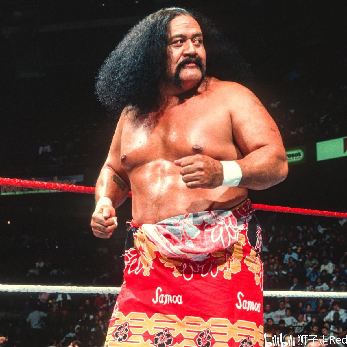 萨摩亚阿诺伊家族Anoa'i family精选照片集 - 哔哩哔哩