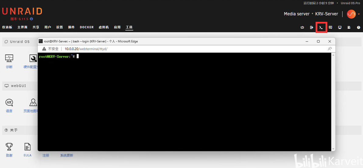 保姆级幼教级UNRAID入门，和解决插件商店及插件安装的网络问题 - 哔哩哔哩