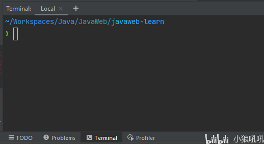 打造IDEA+wsl2的Java开发环境（zsh jdk maven） - 哔哩哔哩