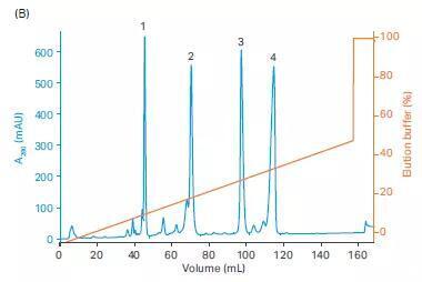 Capto填料应用介绍 | 离子交换篇 - 哔哩哔哩