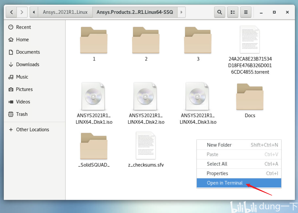 Linux (CentOS 7) 下安装Ansys 2021 R1 教程 - 哔哩哔哩