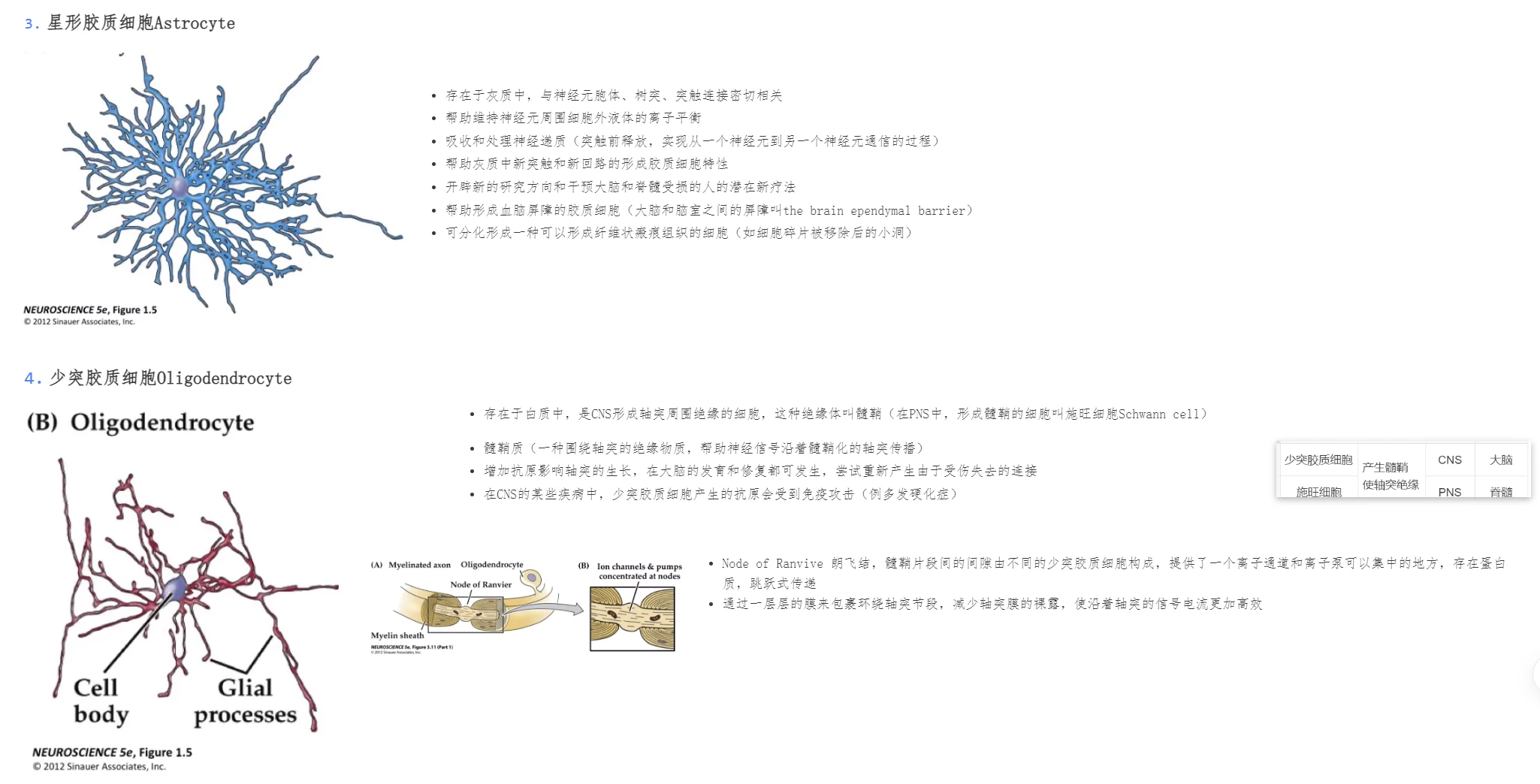Medical Neuroscience by Duke University - 哔哩哔哩