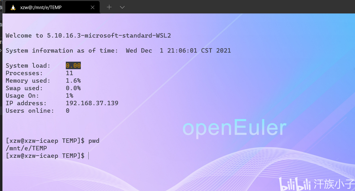 OpenEuler-WSL简单使用 - 哔哩哔哩