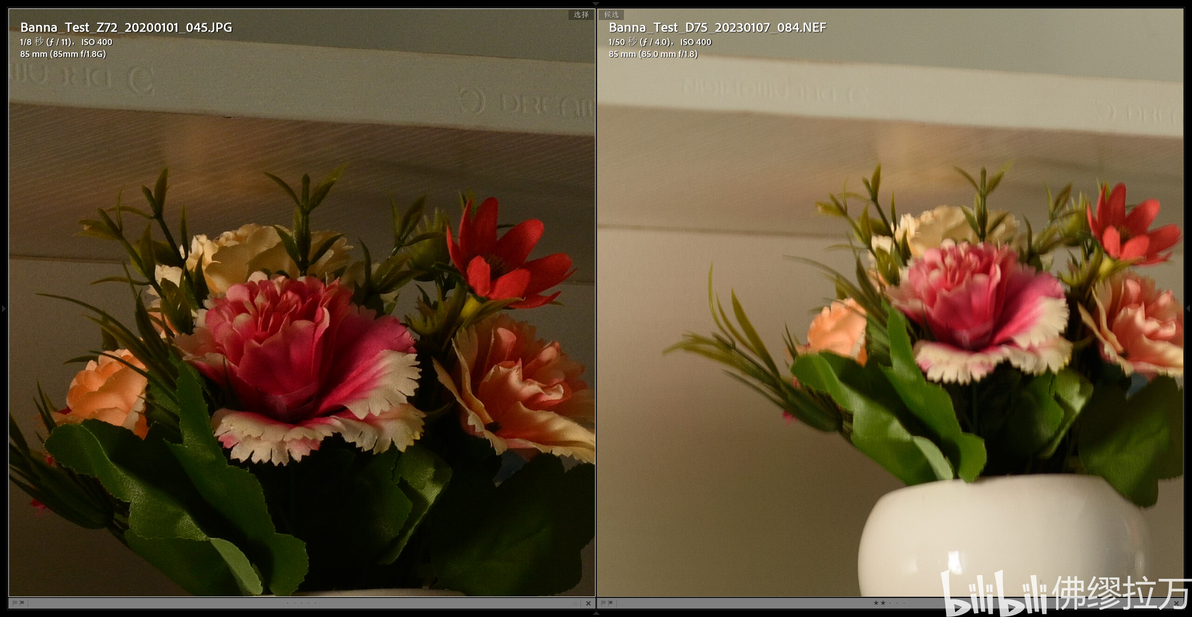 尼康无反系统升级之路（一）：昔日F卡口高感王者D750大战新晋Z卡口风光毕业机Z7II - 哔哩哔哩