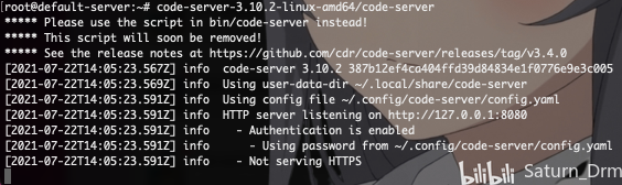 Ubuntu + VS Code Server + Nginx 二级域名反向代理打造全平台个人云端代码编辑器 - 哔哩哔哩