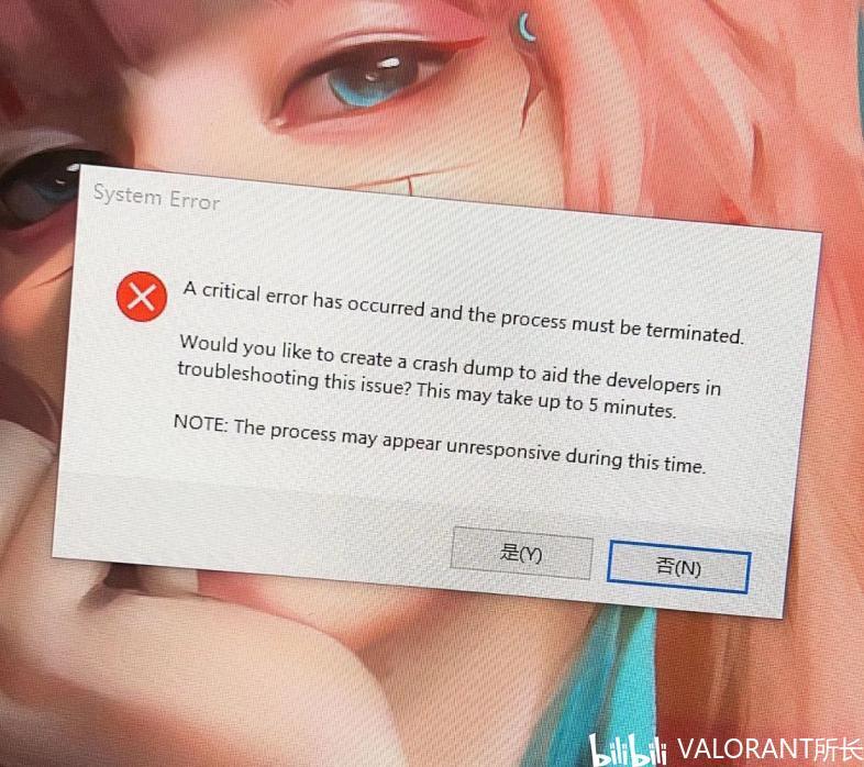 瓦罗兰特错误弹窗System Error处理 | 无畏契约 - 哔哩哔哩