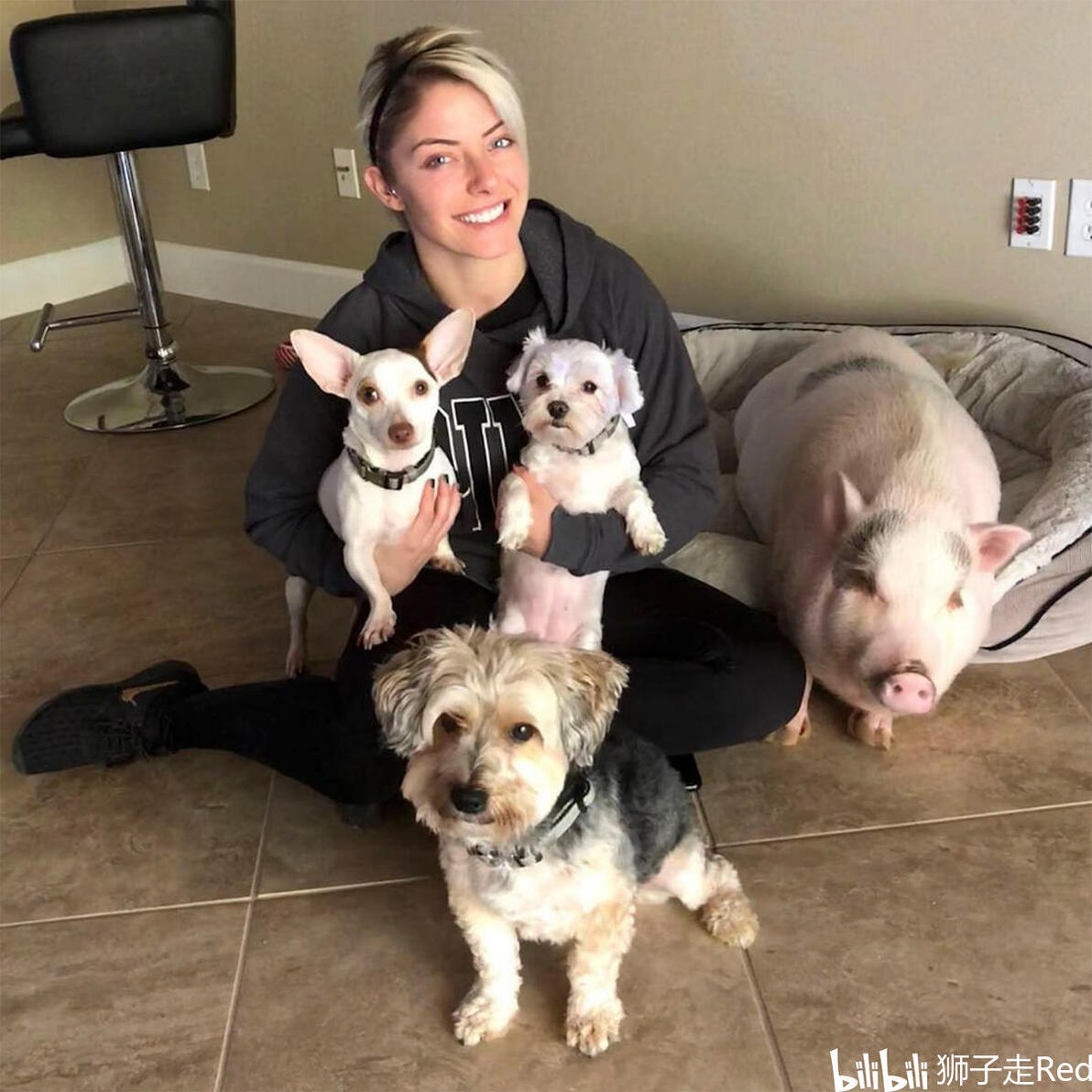 WWE小魔女Alexa Bliss阿莱萨布里斯人物介绍及精选照片集 - 哔哩哔哩