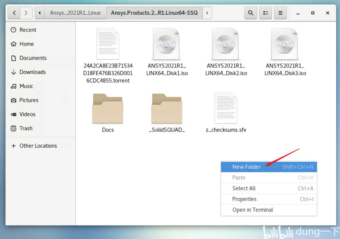 Linux (CentOS 7) 下安装Ansys 2021 R1 教程 - 哔哩哔哩