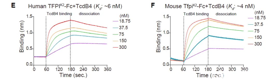 一文读懂利用生物膜干涉技术（BLI）进行竞争性结合实验 - 哔哩哔哩