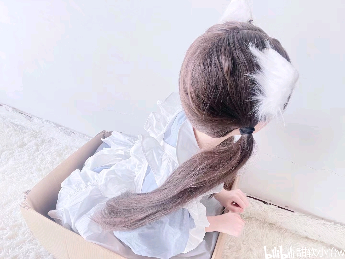 小猫咪来噜 哔哩哔哩