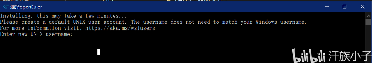 OpenEuler-WSL简单使用 - 哔哩哔哩