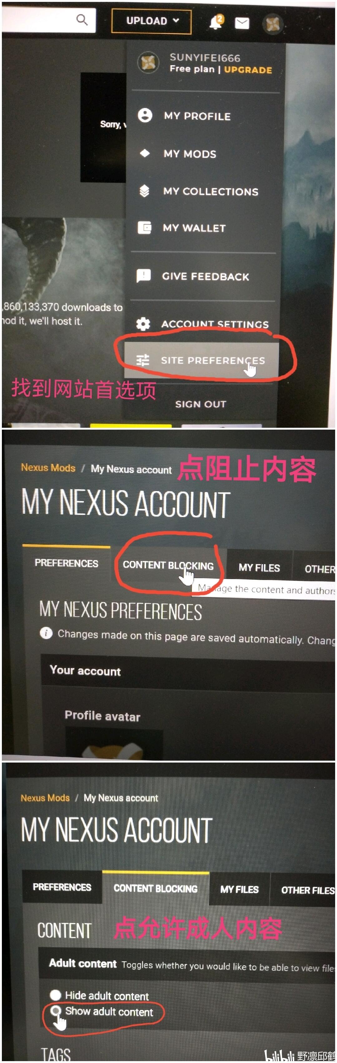 NEXUSMODS网站成人限制设置 - 哔哩哔哩
