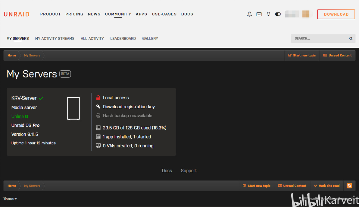 保姆级幼教级UNRAID入门，和解决插件商店及插件安装的网络问题 - 哔哩哔哩