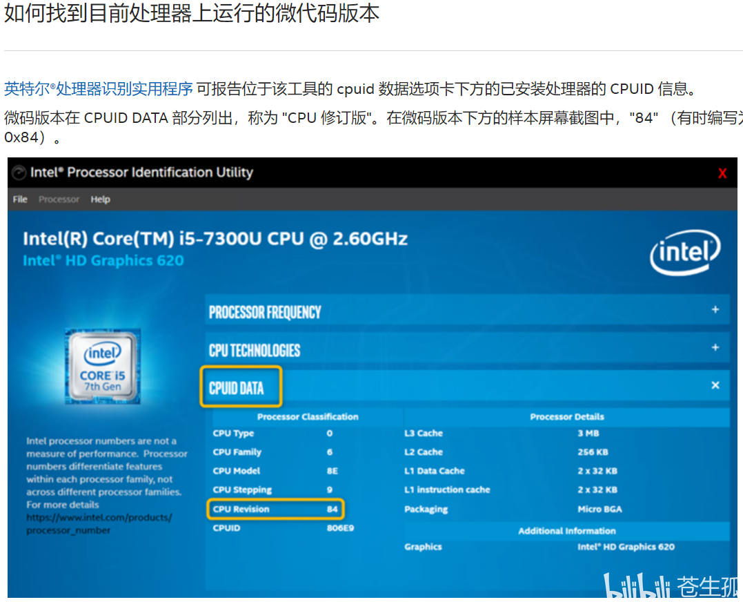 讨论更新BIOS中的微码--以AMI & Intel为例 - 哔哩哔哩