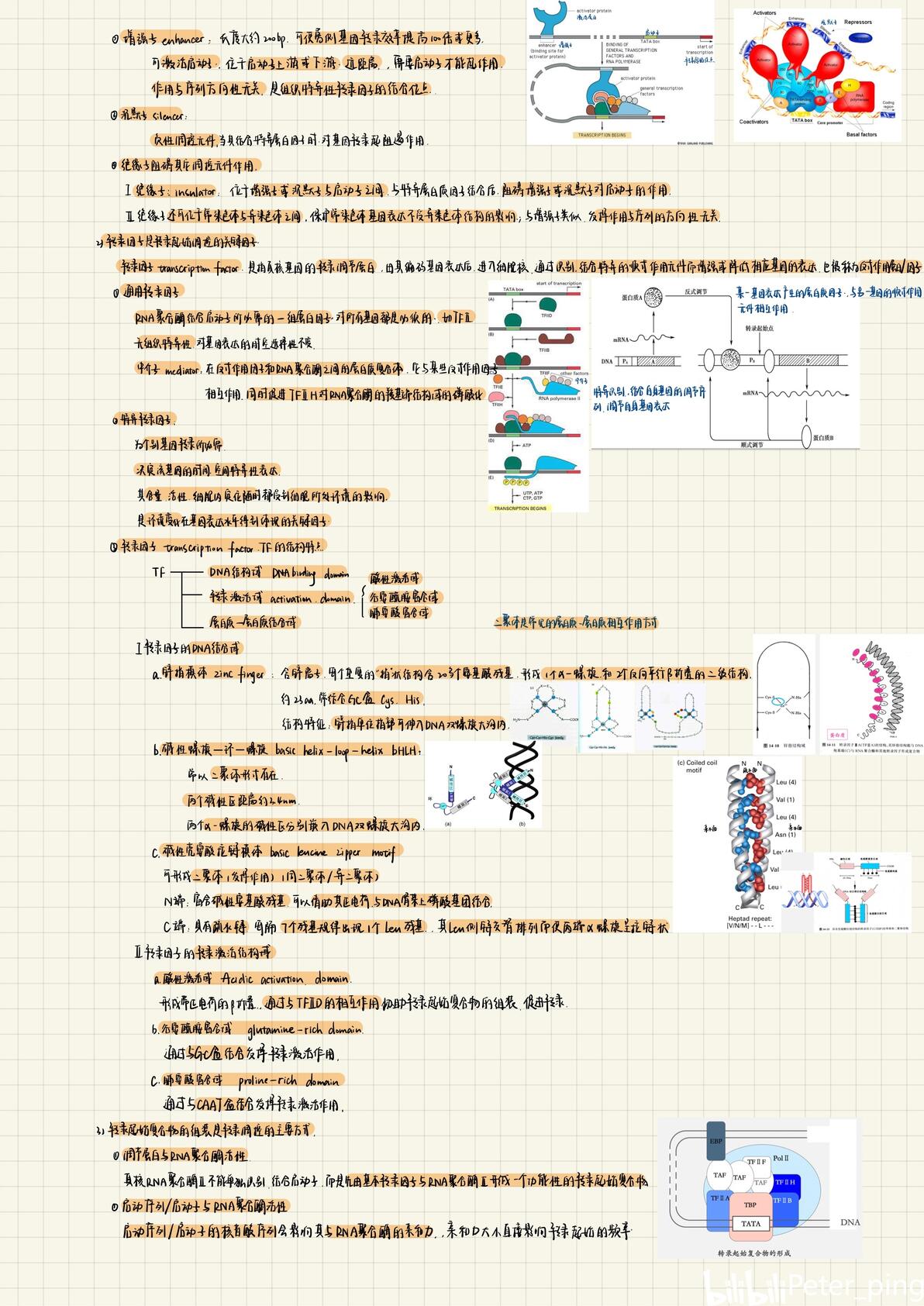 【生化笔记】基因表达调控—Regulation of Gene Expression - 哔哩哔哩