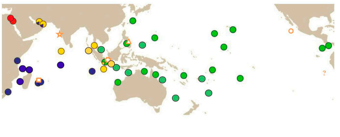 初见|-南海长棘海星爆发的不完全记录 - 哔哩哔哩