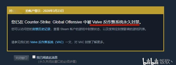 [Steam]VAC是什么？ - 哔哩哔哩