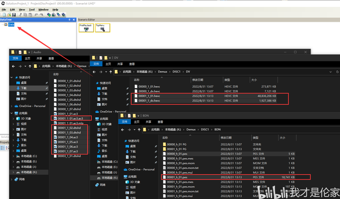 [教程]使用Scenarist UHD给UHDBD原盘简单添加字幕 - 哔哩哔哩