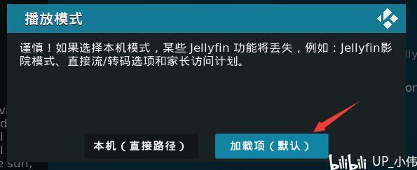 jellyfin库中的元数据同步到Kodi的数据库中 - 哔哩哔哩