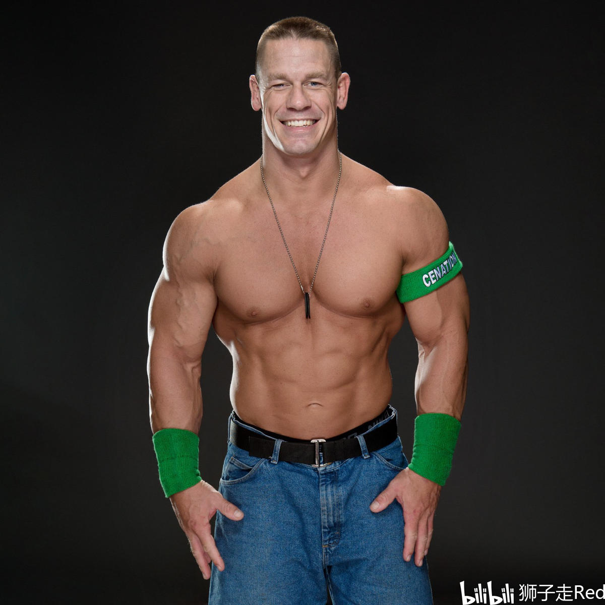 WWE最多次数世界冠军好莱坞John Cena约翰赛纳人物介绍及精选照片集（下） - 哔哩哔哩