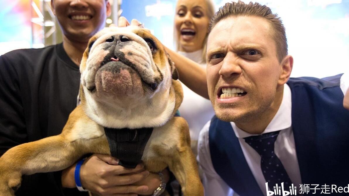 WWE米兹The Miz介绍以及精彩图集 - 哔哩哔哩