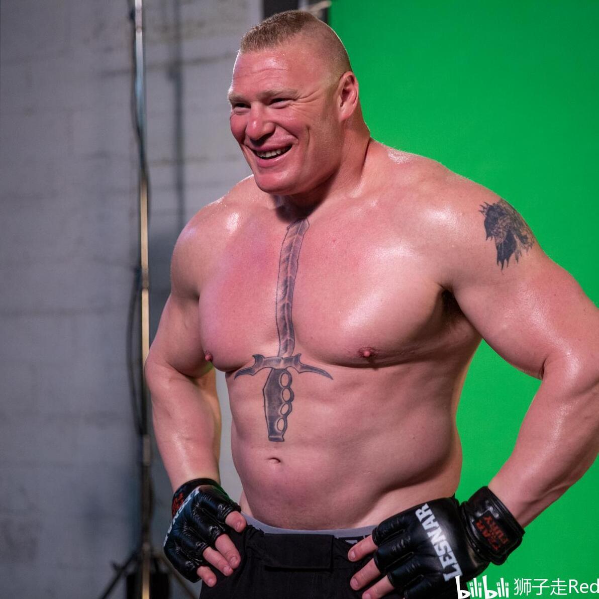 WWE现任冠军猛兽Brock Lesnar布洛克莱斯纳人物介绍及精选照片集 - 哔哩哔哩